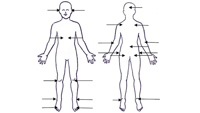 Instruktion regiongemensam punktprevalensmätning (PPM) av trycksår ...